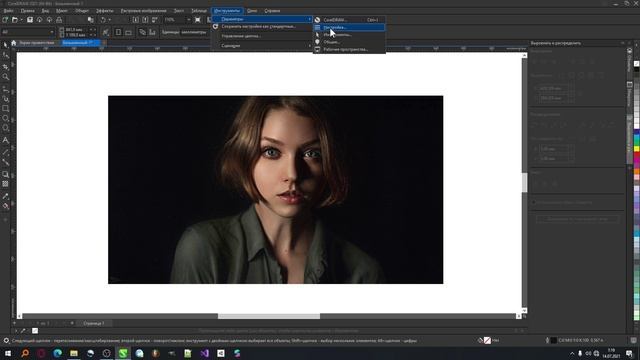 CorelDRAW 2021 - 21. Теория. Макросы, сочетание клавиш