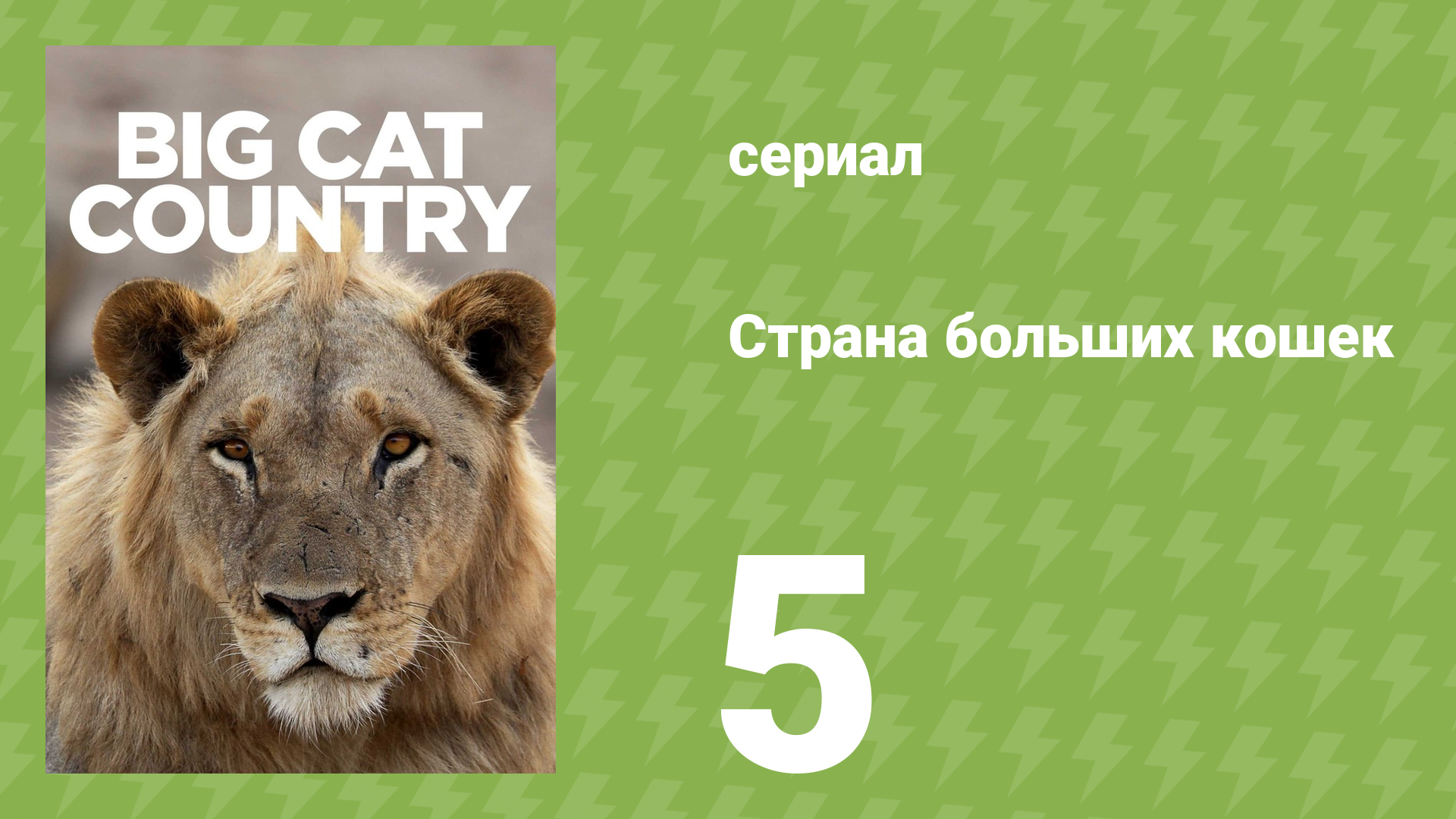 Страна больших кошек 5 серия (документальный сериал, 2020)