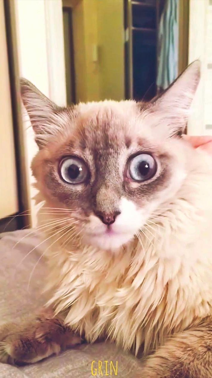 Матрица - это система☝️😸