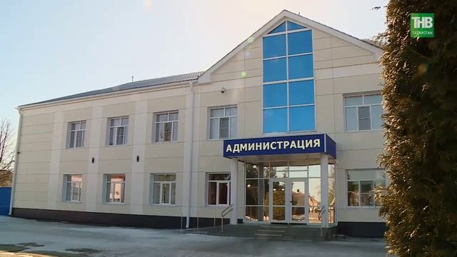 Пастереллёз у границ Татарстана: чем опасна новая эпидемия | 7 дней