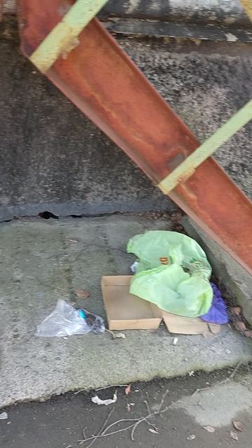 №1982 Двор П. Осипенко 48. 31 марта 2026 г., 11:20:48 VID_20260331_112003089