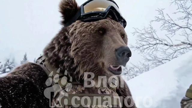 Михалыч и Потапыч - «Первый Снег»№ 13