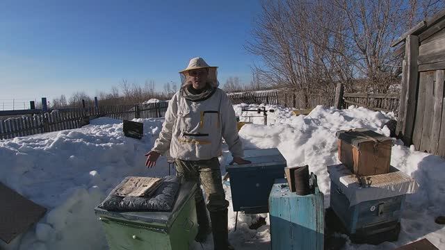 Первый облёт пчёл 2026. Почему погибли пчёлы..?