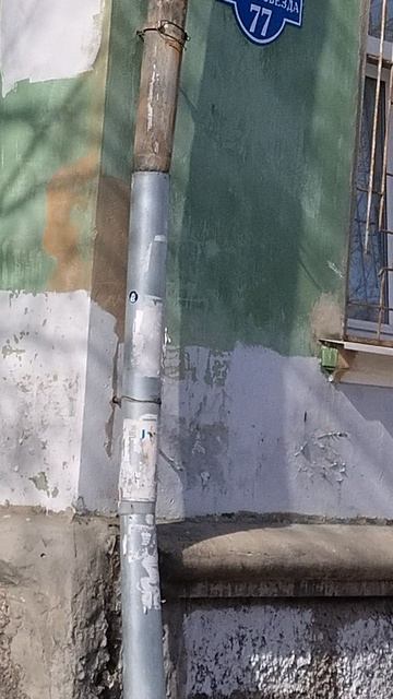 №1979 Двор П. Осипенко 48. 31 марта 2026 г., 11:15:31 VID_20260331_111518420