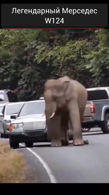 Прочность Мерседеса