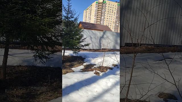 1) п.г.т. Зеленоградский, г.о. Пушкинский, 706 м2, осмотр 31.03.2026