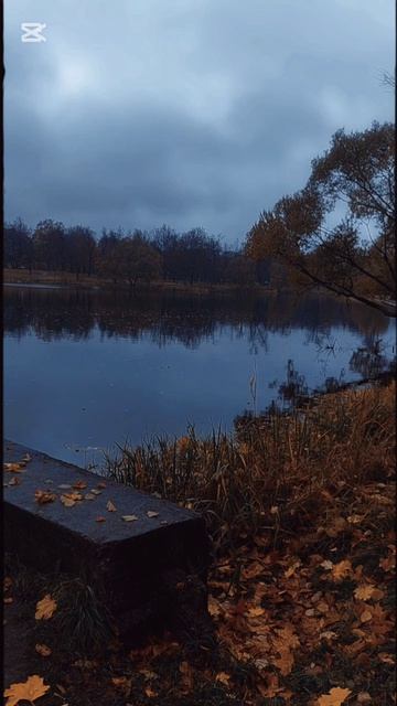 Провожаем осень. Красивая музыка и мы