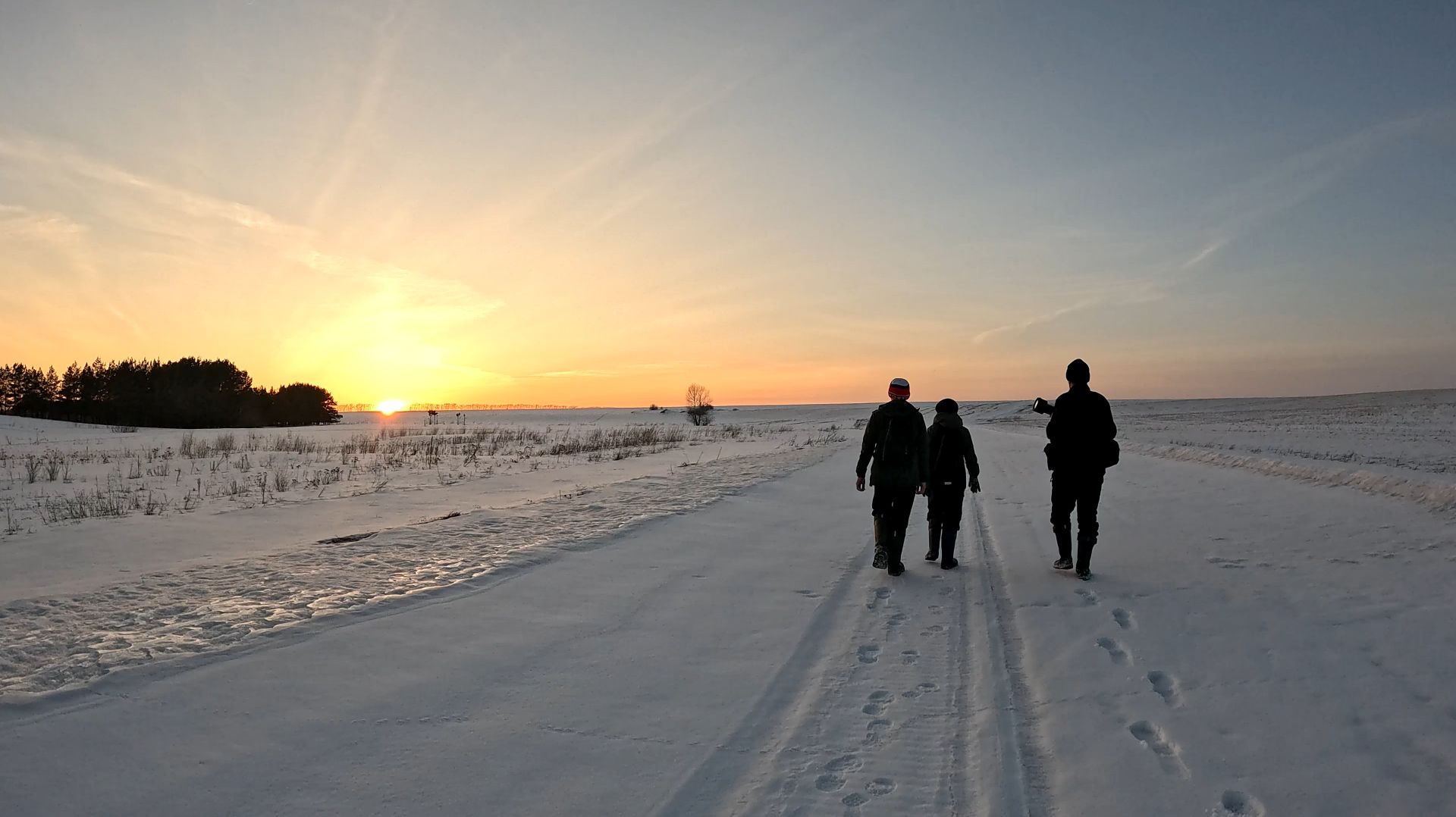 В пионовую степь в марте!