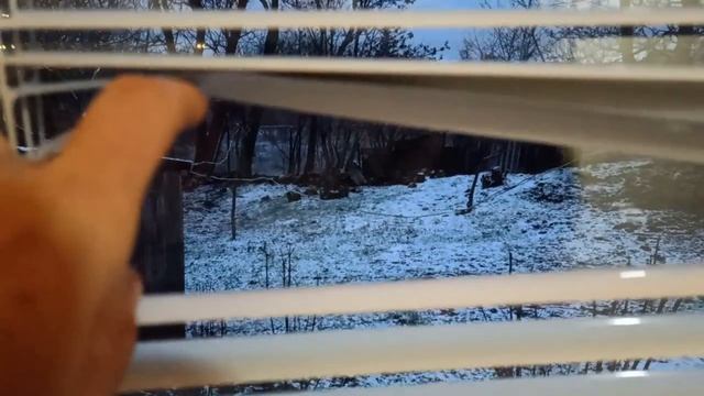 3-5 января 2024г.Мой дом.Эустома растет.Начали штукатурить стены.