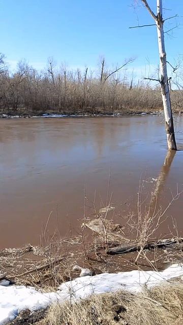 а он ушёл недавно