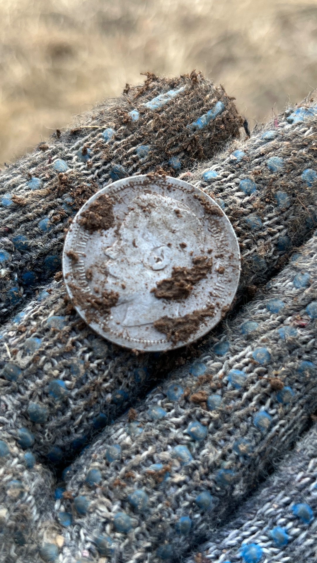 Первый полтиник 2026