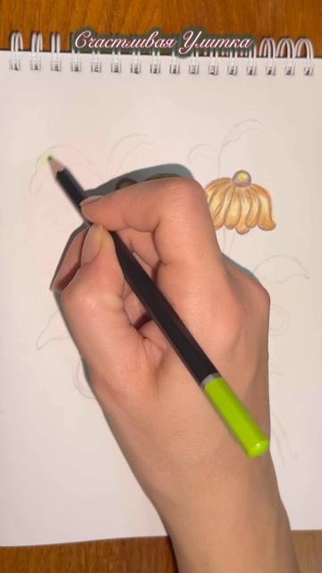 Простой рисунок карандашами Цветы