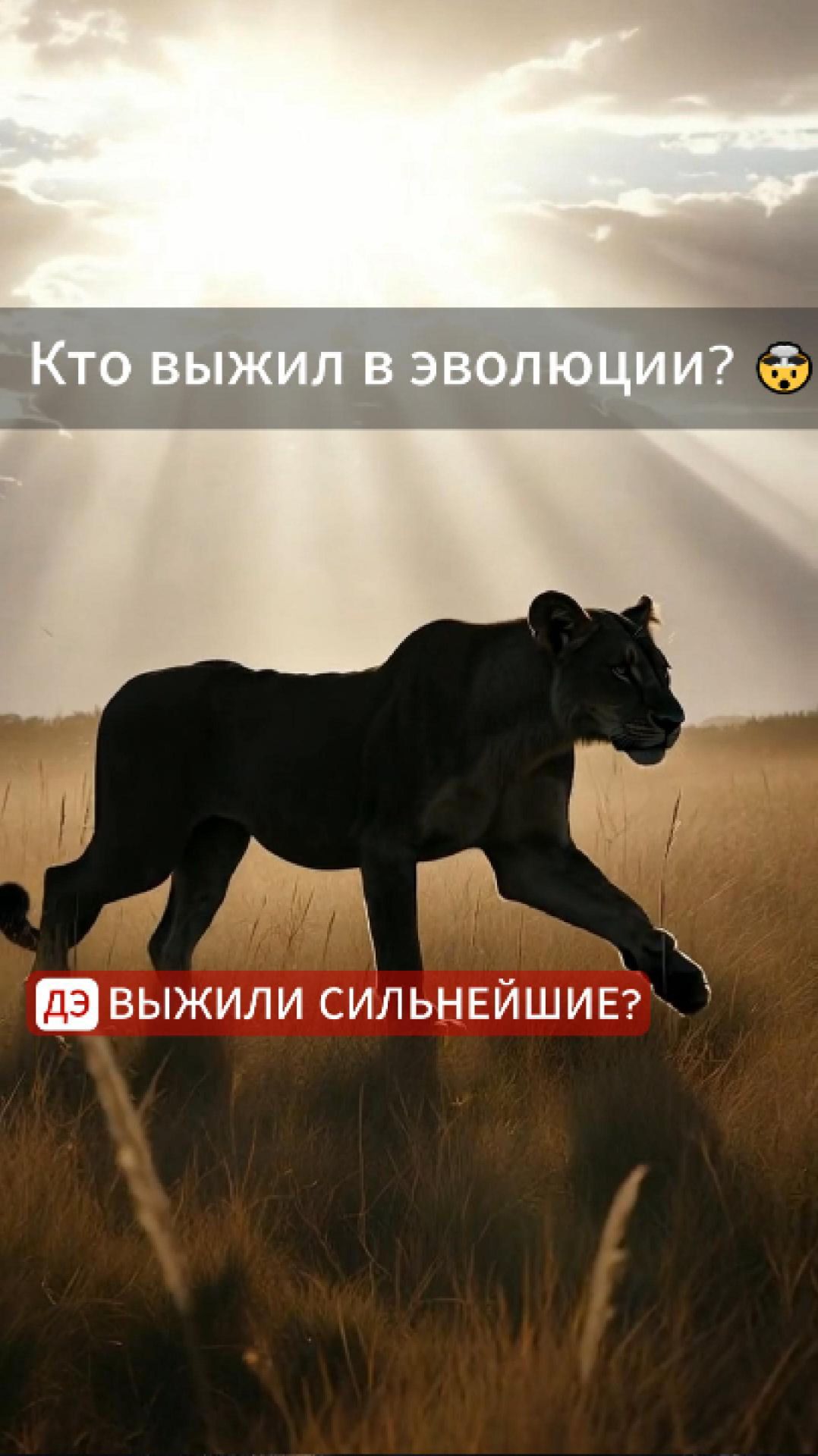 Кто выжил в эволюции? 🤯  #эволюция #наука #человек