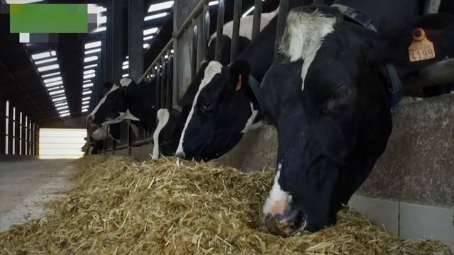 Смешивание KEENAN