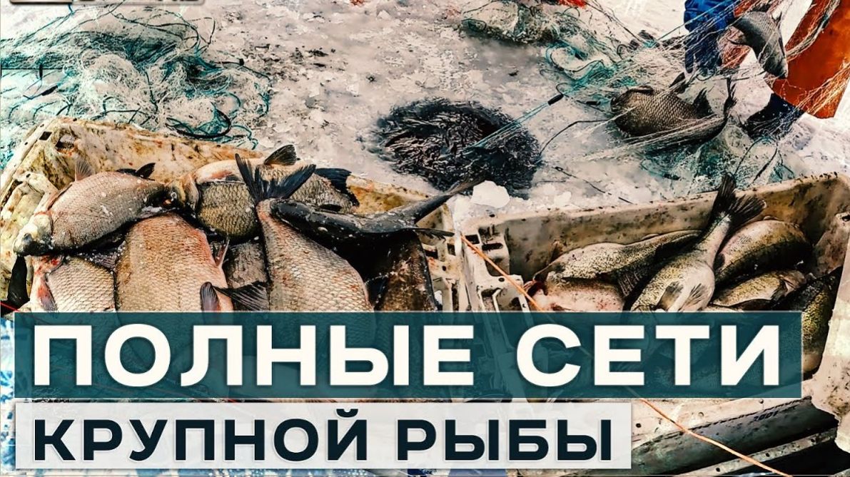 Лучшая Зимняя Рыбалка 2026. Достаём Сети. Русская Рыбалка Онлайн 2026 на RUTUBE Смотреть Бесплатно