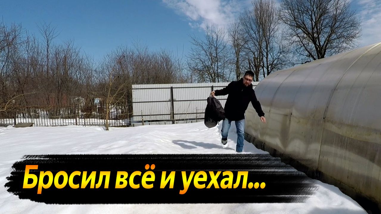 ТО, ЧТО ЗАСТАВИЛО МЕНЯ БРОСИТЬ ВСЁ И ПОЕХАТЬ НА ДАЧУ | ВИДЕО КАЖДЫЙ ДЕНЬ №134