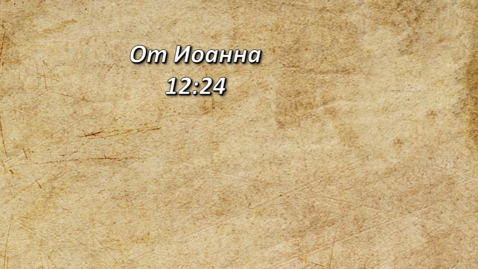 Стих дня. От Иоанна, 12;24.