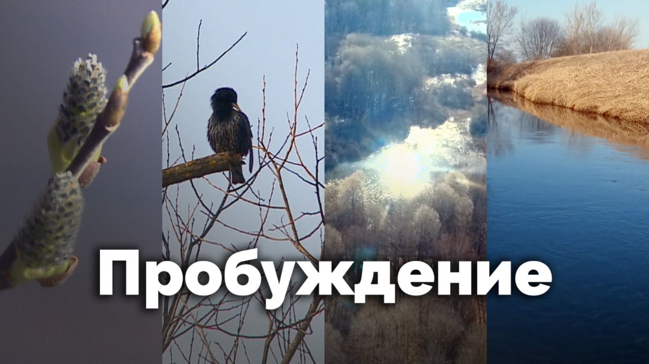Пробуждение | С любовью к русской природе