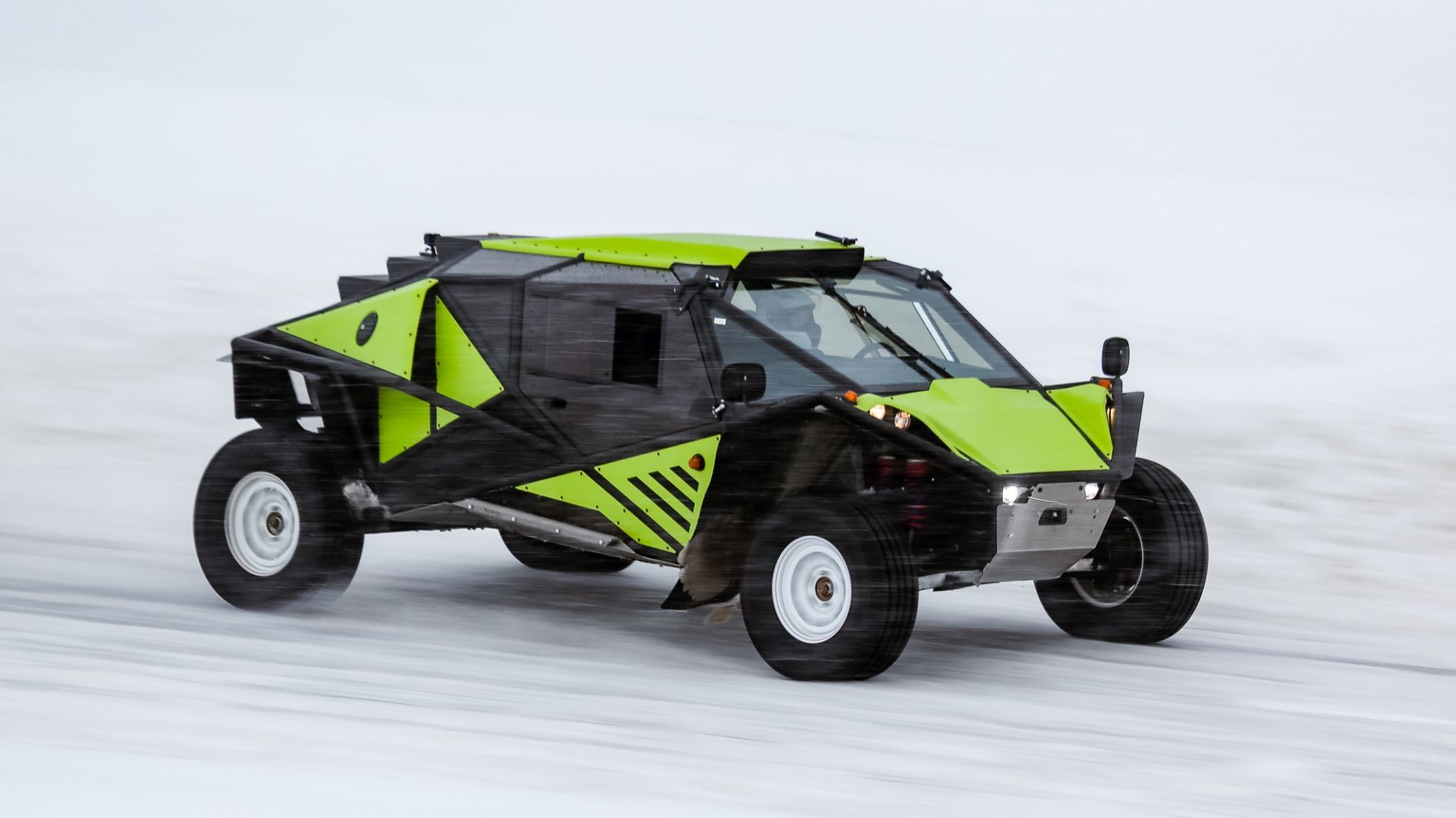 Багги Роамер