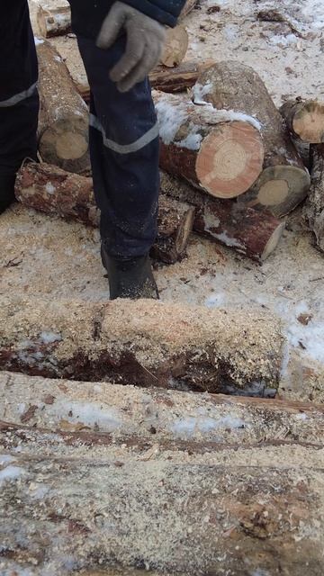 Сколько дров можно напилить цепной пилой с одного заряда аккумулятора 4 А/ч?