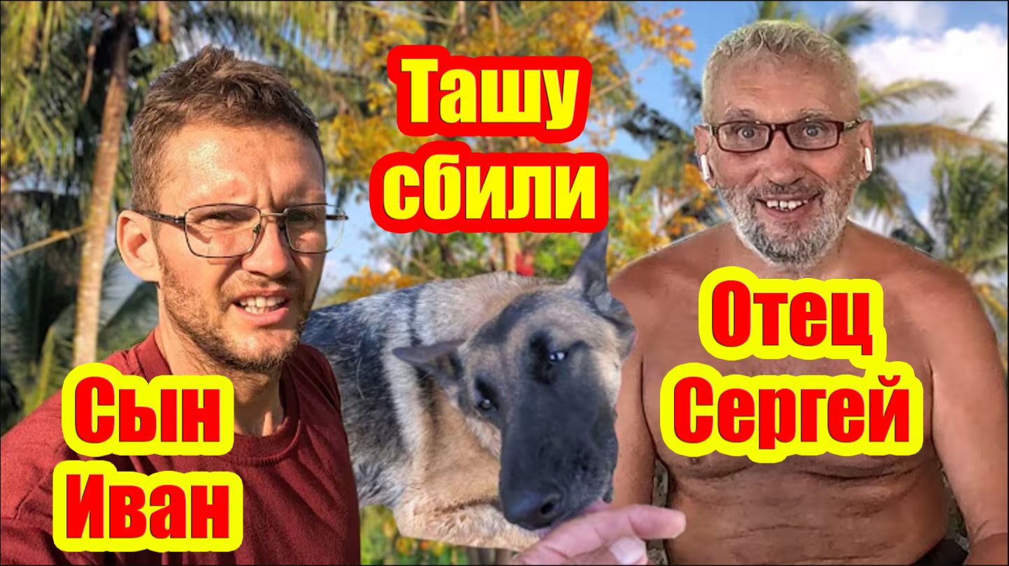 Отец Сергей и Сын Иван | Таша попала в авария | Дерево обрезали | Копаем котлован для дома
