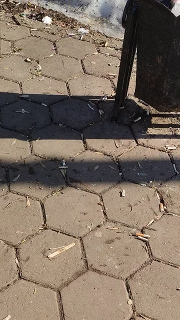 №1969 Комсомольский проспект. 30 марта 2026 г., 11:57:22 VID_20260330_115623617