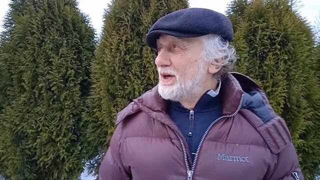 Сущности, лярвы, как от них избавиться.