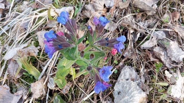 Вот такая весна на 1 мая на Южном Урале (из архива)