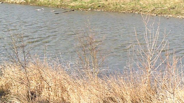 DSCF0008 Набережная река Кубань пос.Рождественка г.Невинномысск