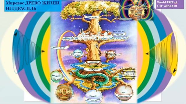 Сонастройка 31.03.2026 из 1-ой экспедиции в Египет, Марса Алам.