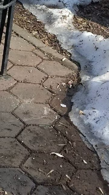 №1985 Комсомольский проспект. 31 марта 2026 г., 11:36:10 VID_20260331_113501420