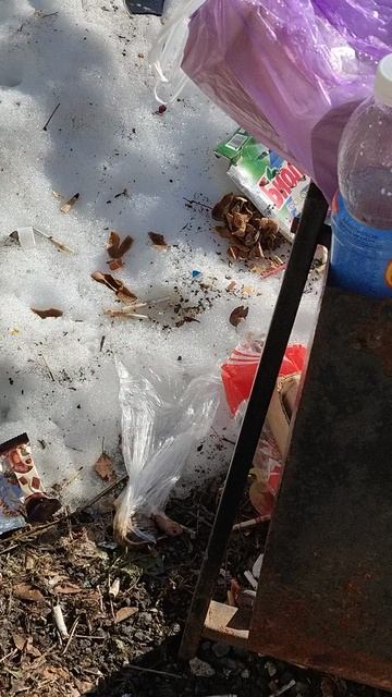 №1966 Двор П. Осипенко 48. 30 марта 2026 г., 11:44:17 VID_20260330_114351238