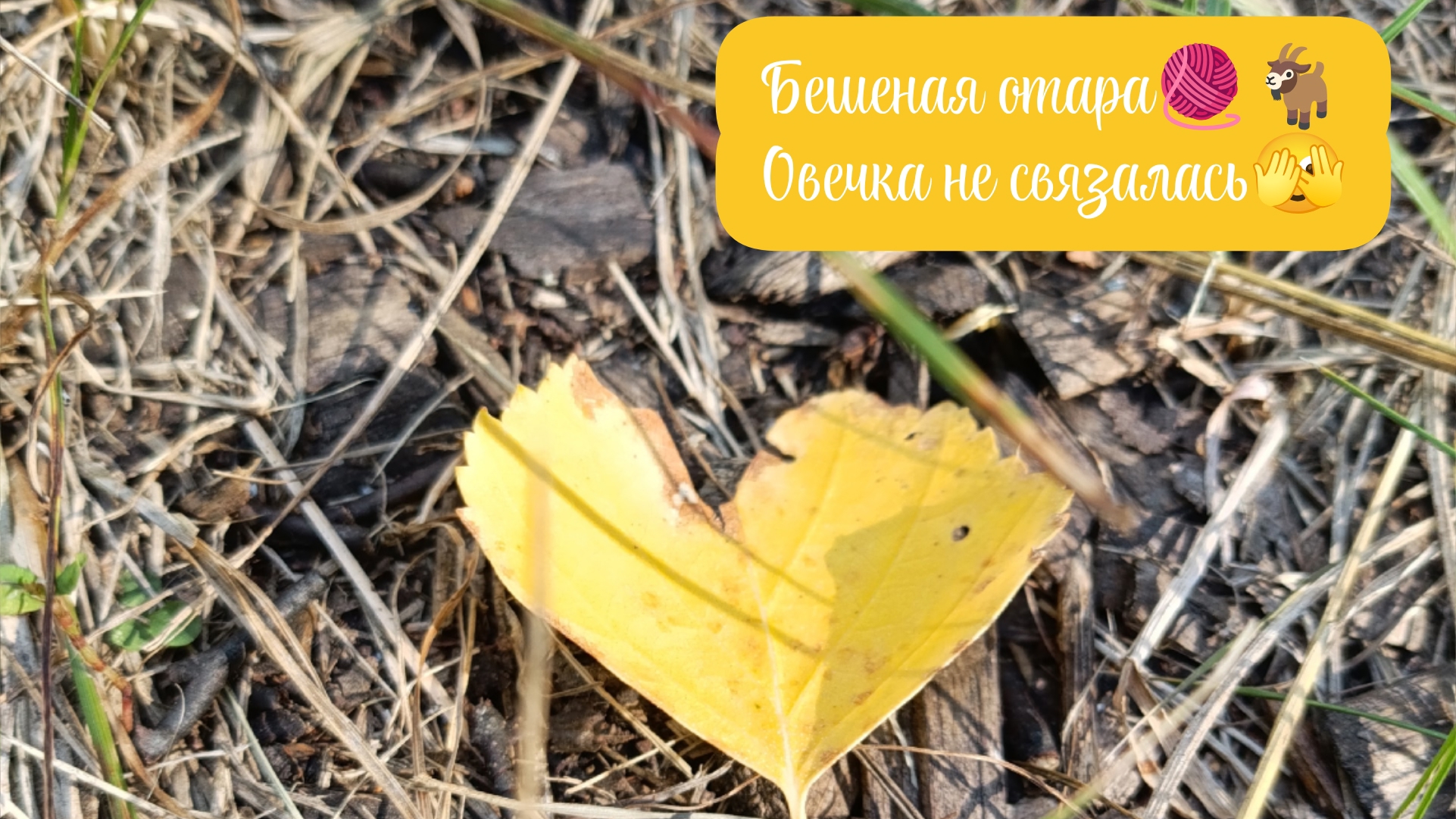 Вязальная активность "Бешеная отара". Отчет за март. Одна козочка🧶🐐