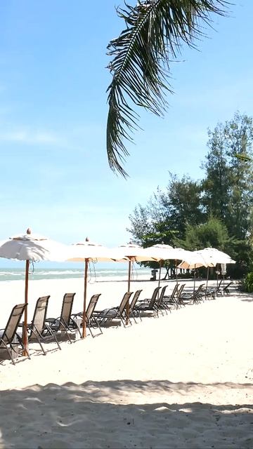 Отдых после работы 🌹 Звуки глубины 🌙 Утренний рассвет 🧘