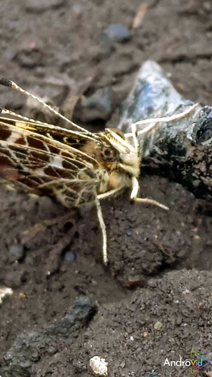 Весна! Апрель! Отличного настроения! 🌞🥰 01-04-2026