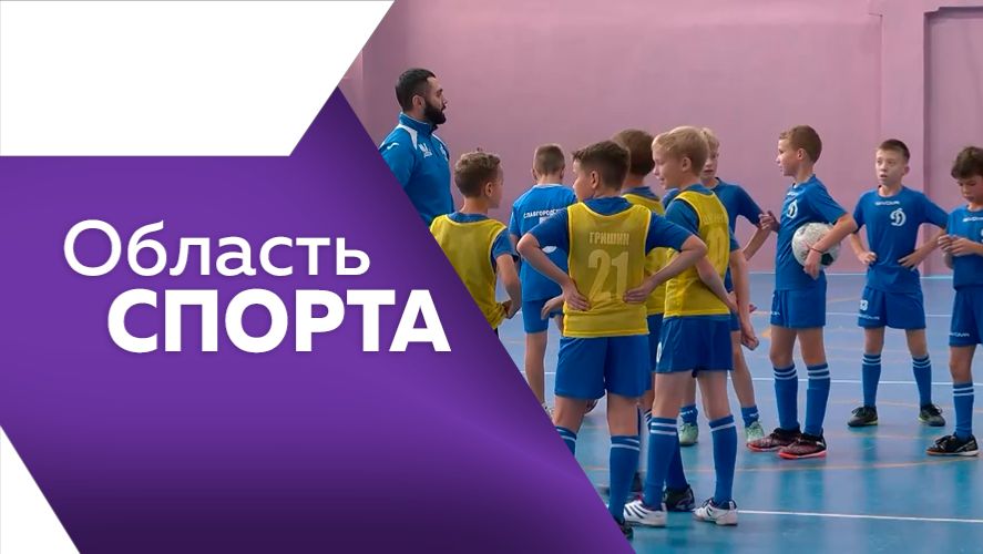 Область спорта № 355