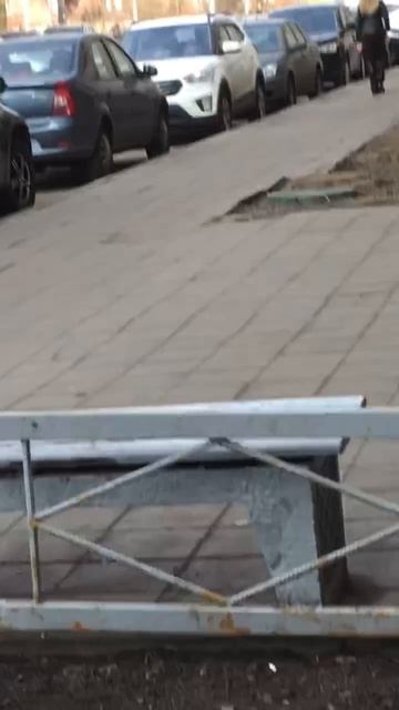 Санкт-Петербург. 31.03.2026. Проспект Энгельса. Первоцветы на газонах у дома. Эпизод 3