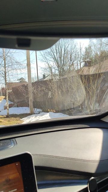 2) п.г.т. Зеленоградский, г.о. Пушкинский, 706 м2, осмотр 31.03.2026