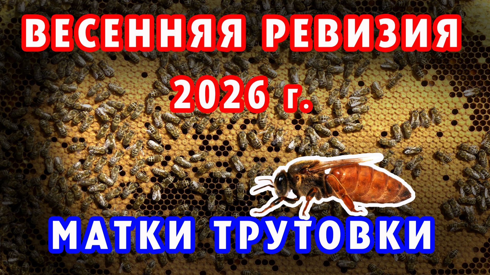 ПЕРВАЯ РЕВИЗИЯ В 2026 ГОДУ