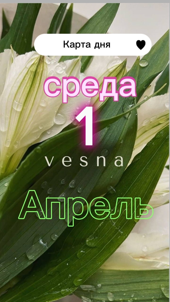 👑Король мечей🗡Карта дня на 01-04-2026. Среда.