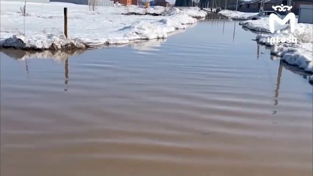 Сокуры в воде: жители передвигаются на тюбингах, гребут лопатами