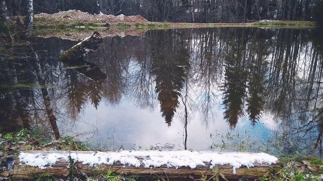 И.Крылов. Зеркало и обезьяна. Басня