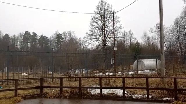 У скита  Никона. Новый Иерусалим. 1 февраля