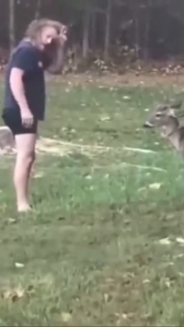 ПАРНОКОПЫТНАЯ СТРАСТЬ...