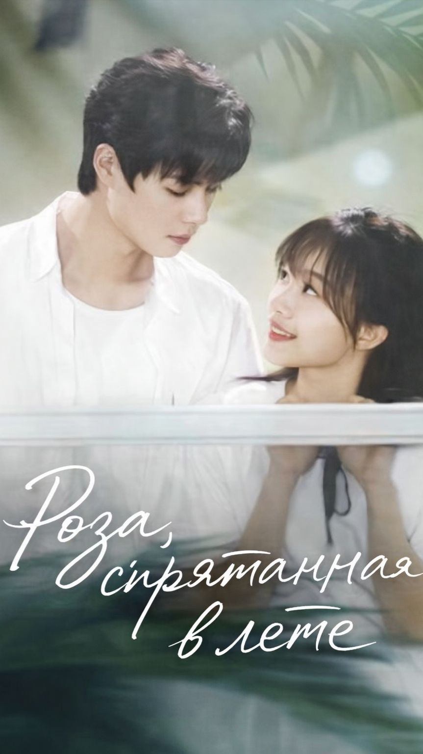 Роза, спрятанная в лете - 14 серия из 88 / Mei Gui Cang Yu Sheng Xia