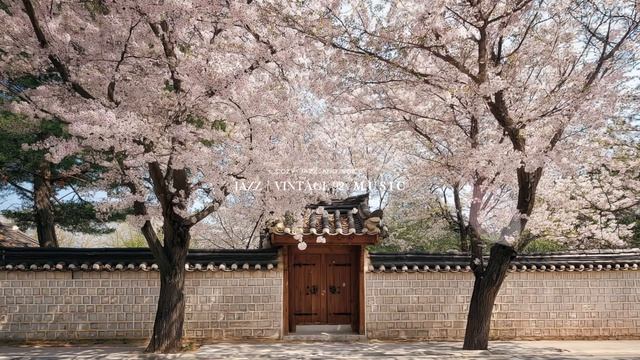 Спокойный весенний джаз🌸🎶☕👍 Винтажный джаз. Фоновая музыка для кофе или чаепития