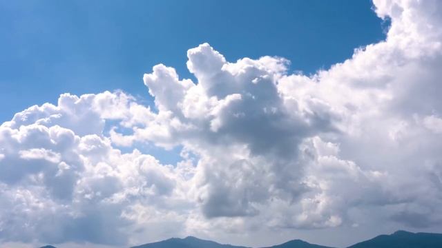 Их встреча пала так внезапно