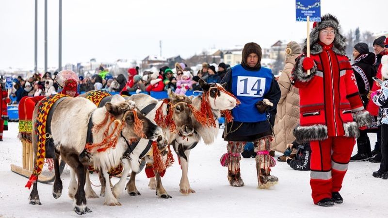 Кочевой праздник День оленевода | Северный колорит