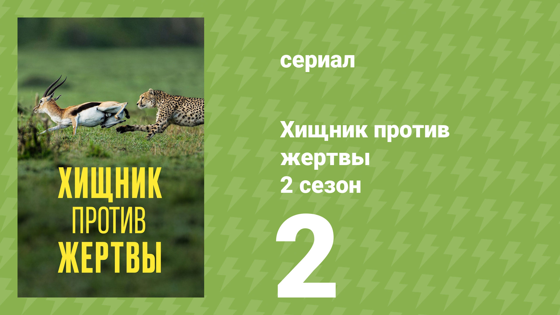 Хищник против жертвы 2 сезон 2 серия (документальный сериал, 2025)