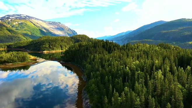 Дядя Женя жги гитарой!